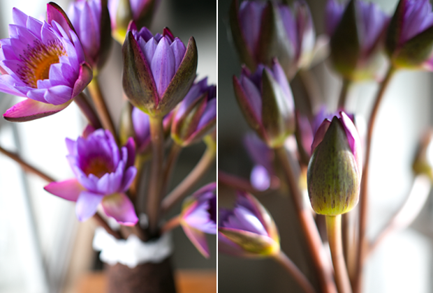 Lotus Flowers & Bombshell Vase - scissors.paper.wokscissors.paper.wok